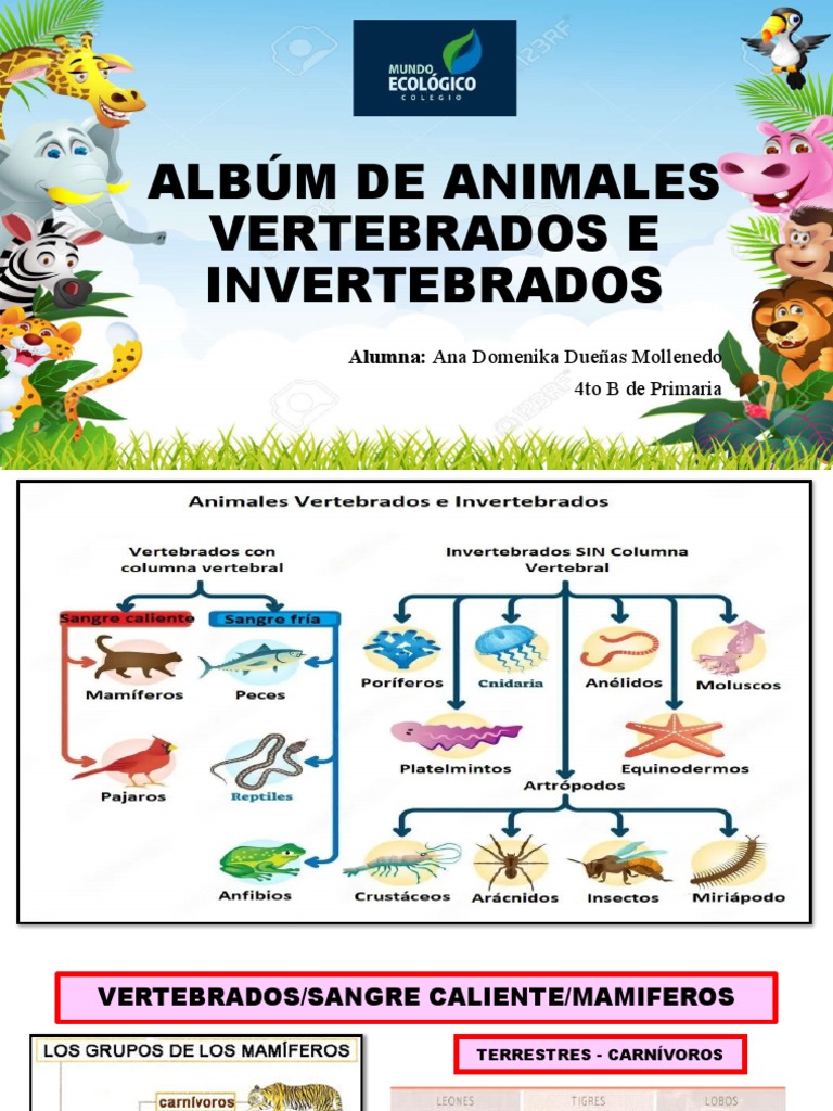 Álbum de Animales Vertebrados e Invertebrados | PDF