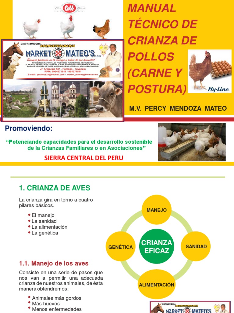 Manual Técnico de Crianza de POLLOS | PDF | Pollo | Aves