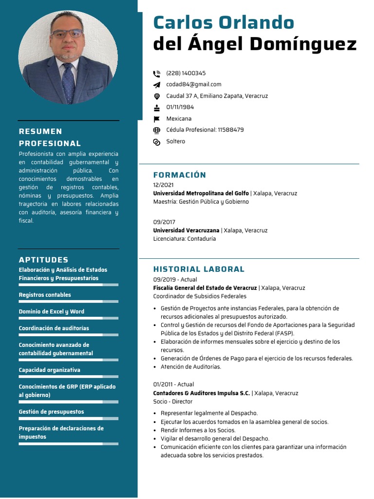 Curriculum Carlos Orlando - Del Ã - Ngel DomÃ - Nguez | PDF | Contador | Auditoría