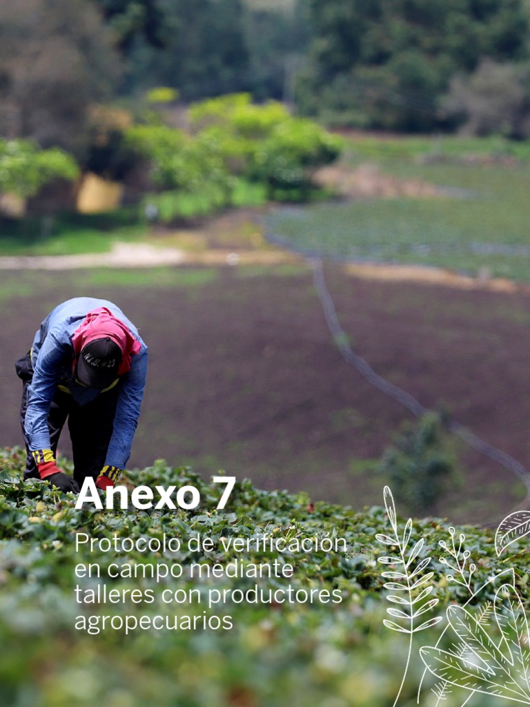 UAF Anexo 7 20210616 Met UAF | PDF | Fertilizante | Los bosques