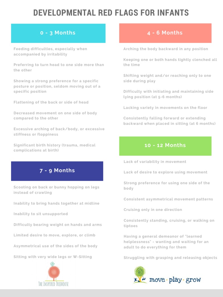Developmental Red Flags For Infants | PDF