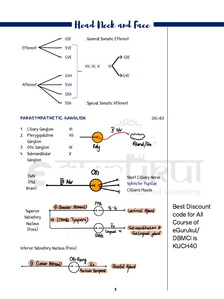 Anatomy Rapid Express Notes EGurukul 2023 | Download Free PDF | Larynx ...