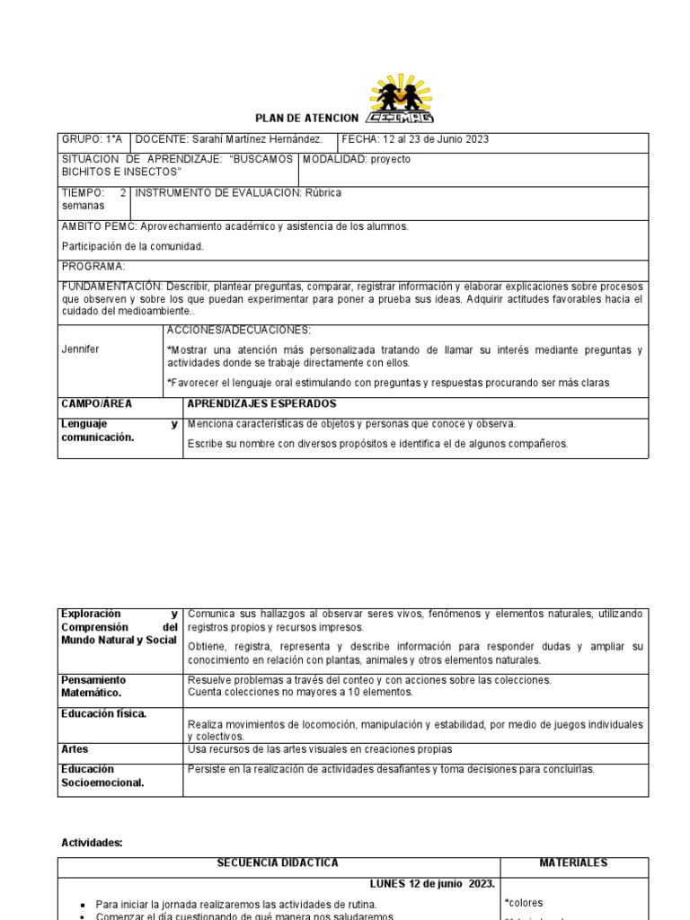 Plan de Atencion Buscamos Bichos e Insectos | PDF | Insectos | Evaluación