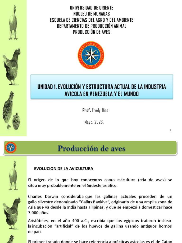 Presentación clase de aves. | PDF | Pollo | Venezuela