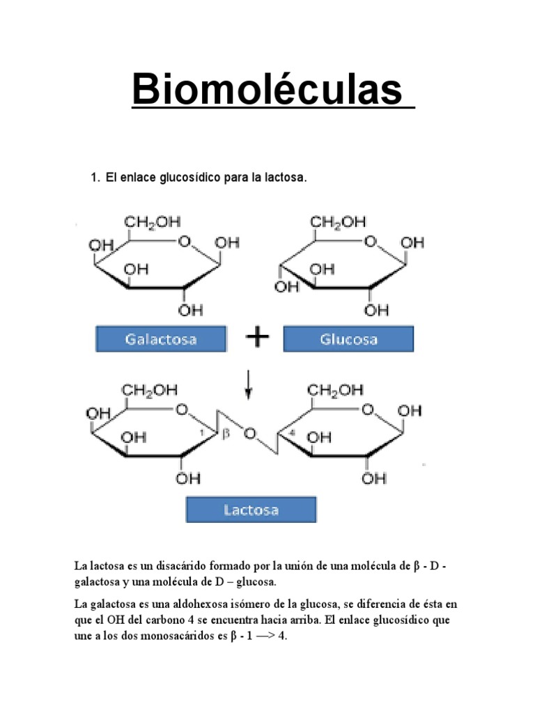 Act 8 - Valdespino - Medeguin - Gabriel Alexander - Reaccionesquimica ...