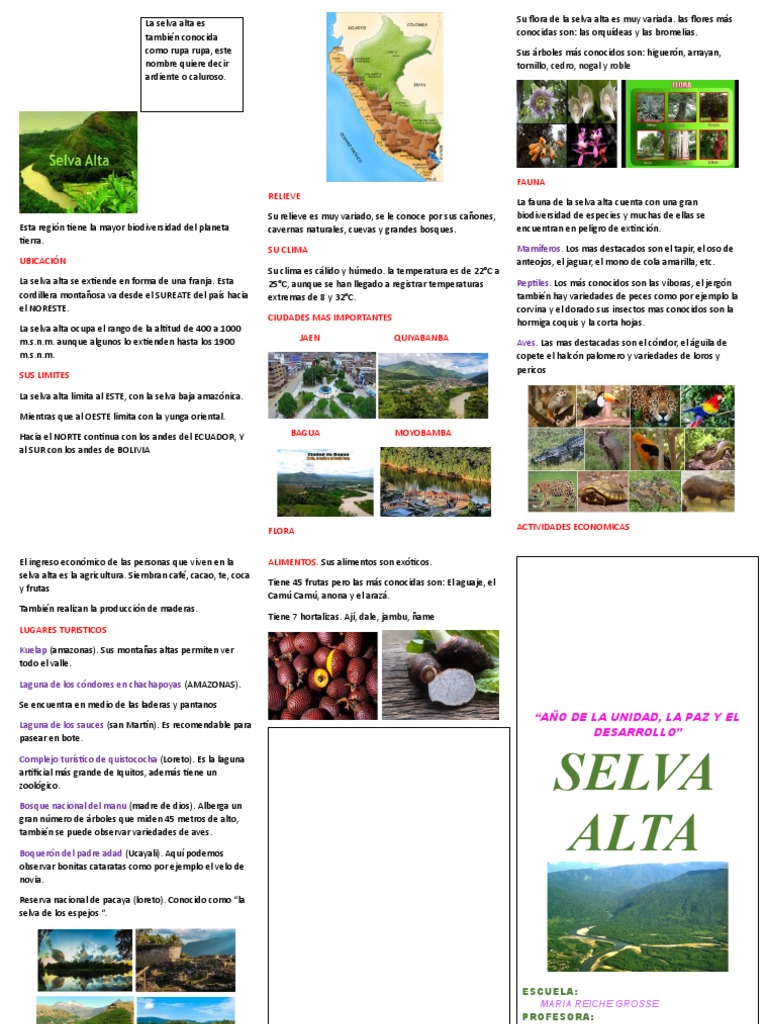 Triptico de Selva Alta | PDF | Selva