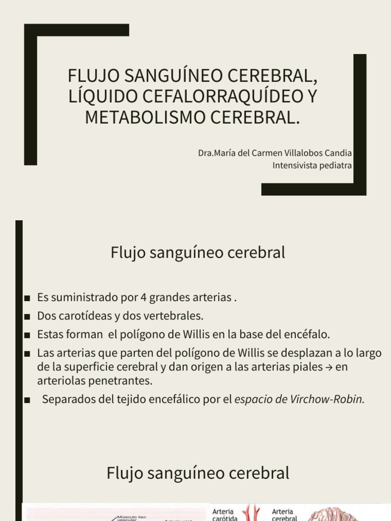 Fisio II Capitulo 62.PR23 pptx-1 | PDF | Fluido cerebroespinal | Fisiología
