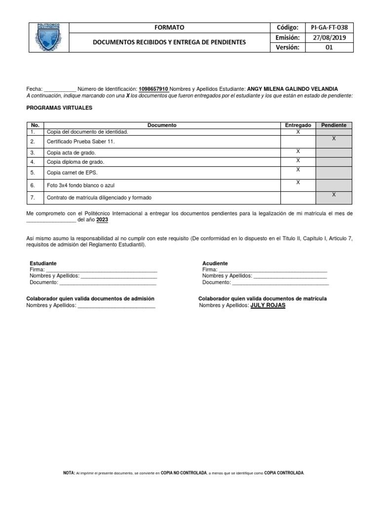 Documentos Recibidos y Entrega de Pendientes | PDF