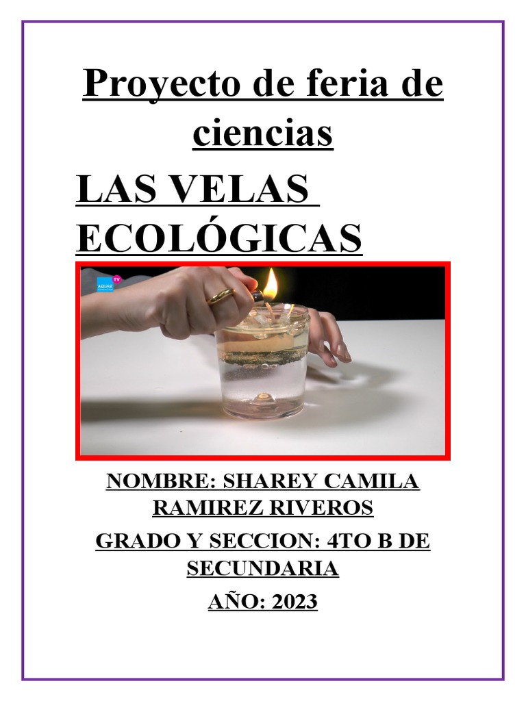 Proyecto de Feria de Ciencia 4 TO B | PDF