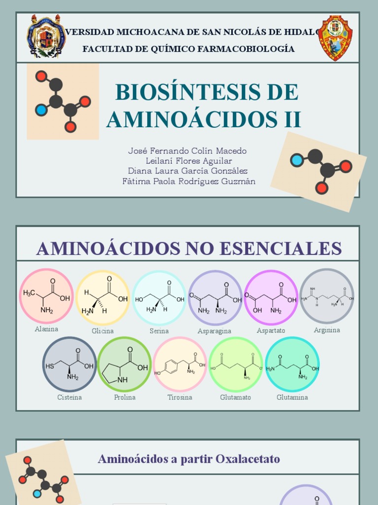 Biosíntesis de Aminoácidos II | PDF | Biosíntesis | Transaminasa