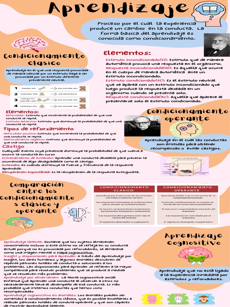 Infografía de Aprendizaje | PDF | Aprendizaje | Reforzamiento