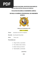 familia del boro | PDF