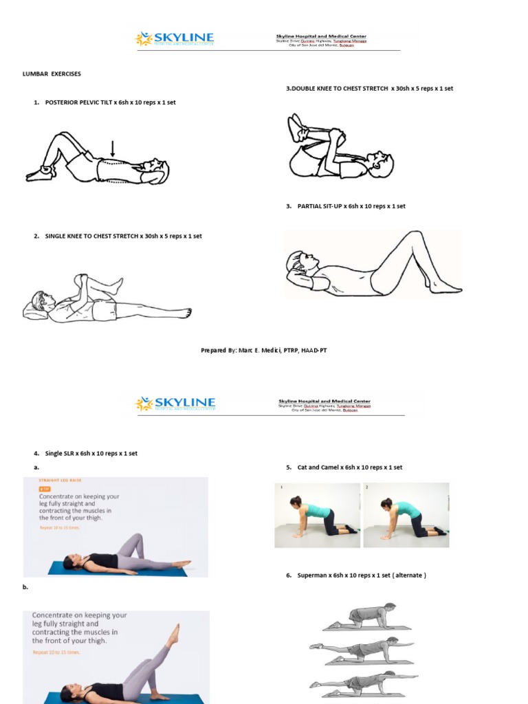Lumbar Exercises | PDF