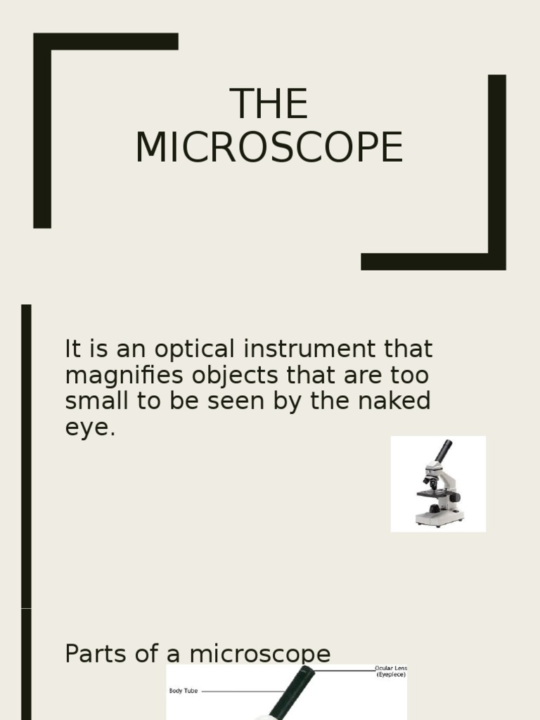 Lesson 2 The Microscope | PDF