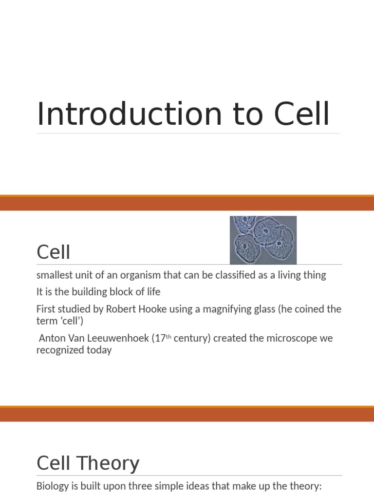 Lesson 1 Introduction To Cells Pdf Cell Biology Cytoplasm