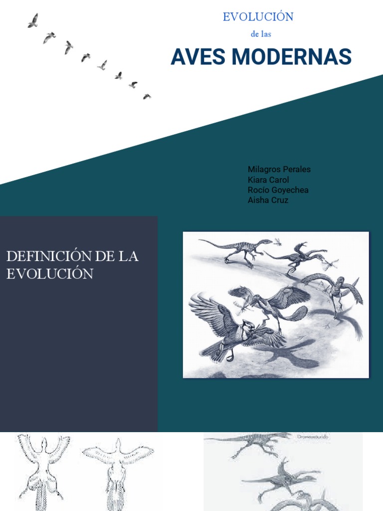 Aves Modernas . | PDF