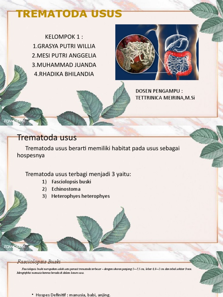 Trematoda Usus: Jenis dan Pencegahan | PDF
