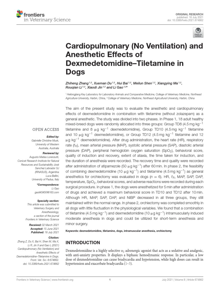 Dexmedeto y Tiletamina | PDF | Anesthesia | Blood Pressure