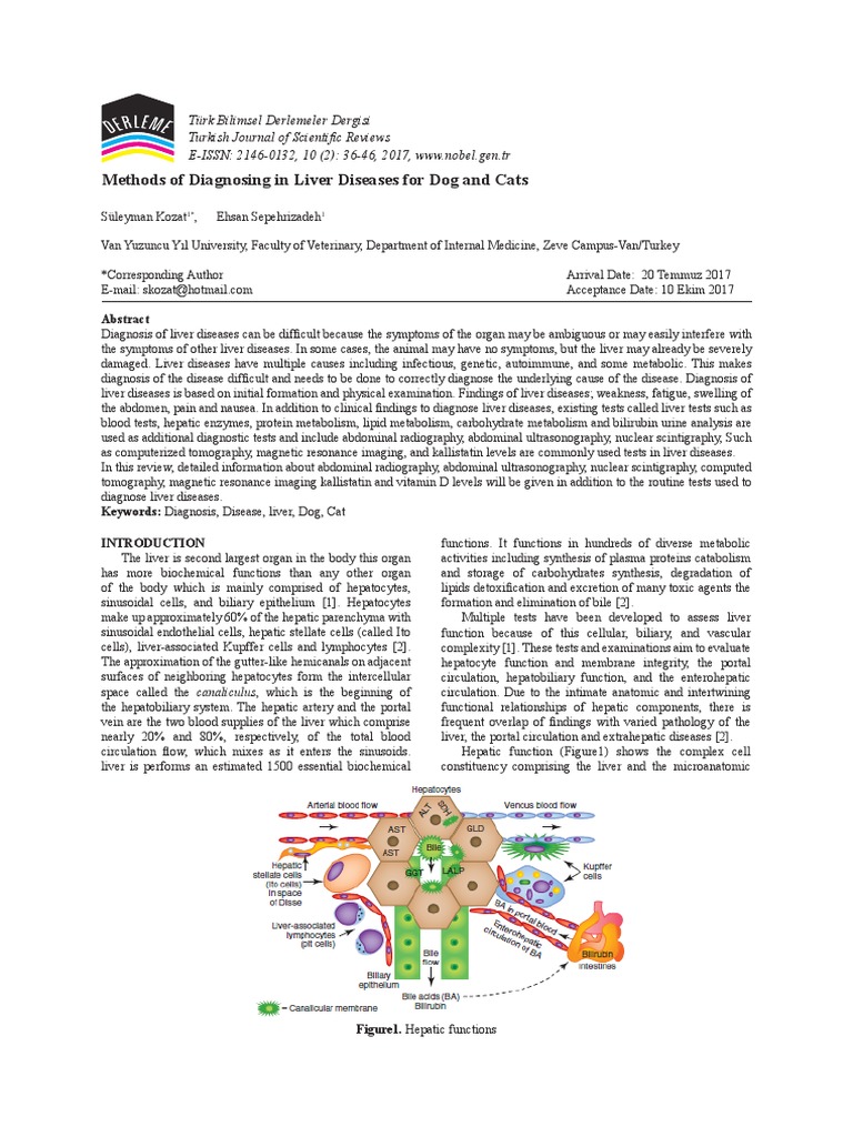 Methods of Diagnosing in Liver Diseases For Dog and Cats (#397441 ...