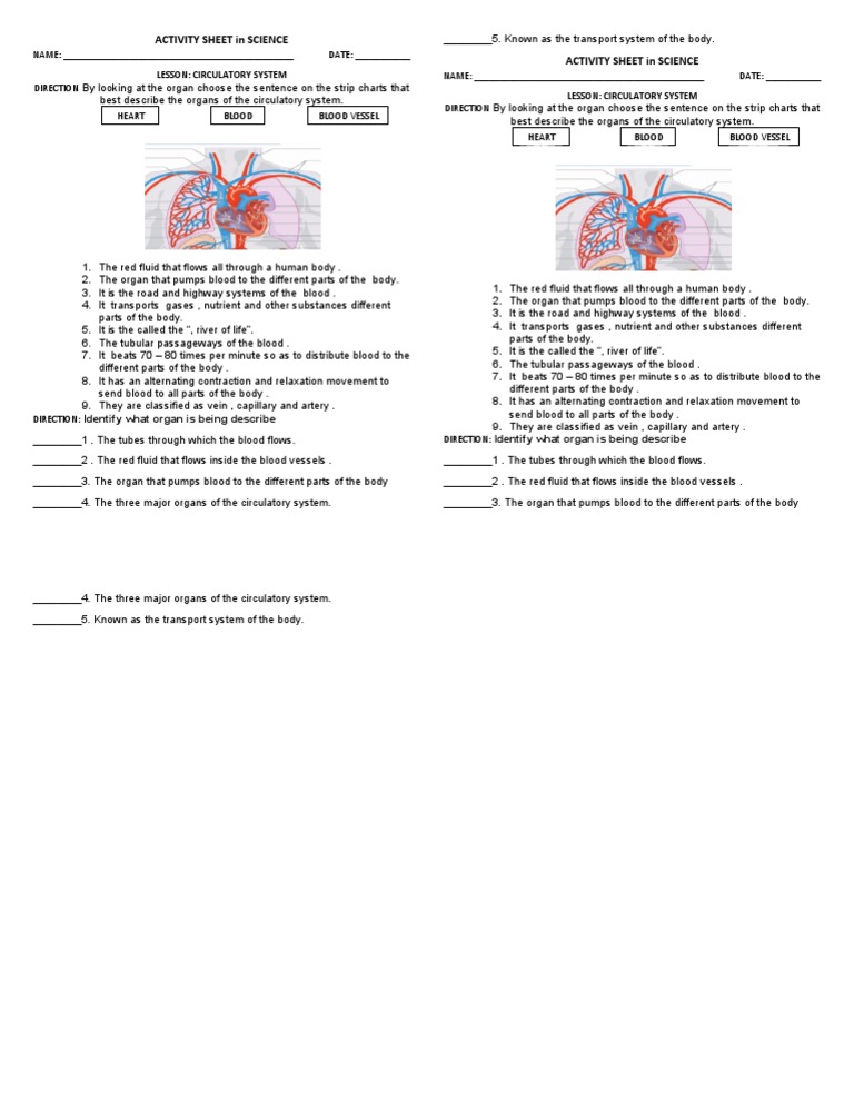 ACTIVITY SHEET in SCIENCE (Circulatory System) | PDF | Blood Vessel ...