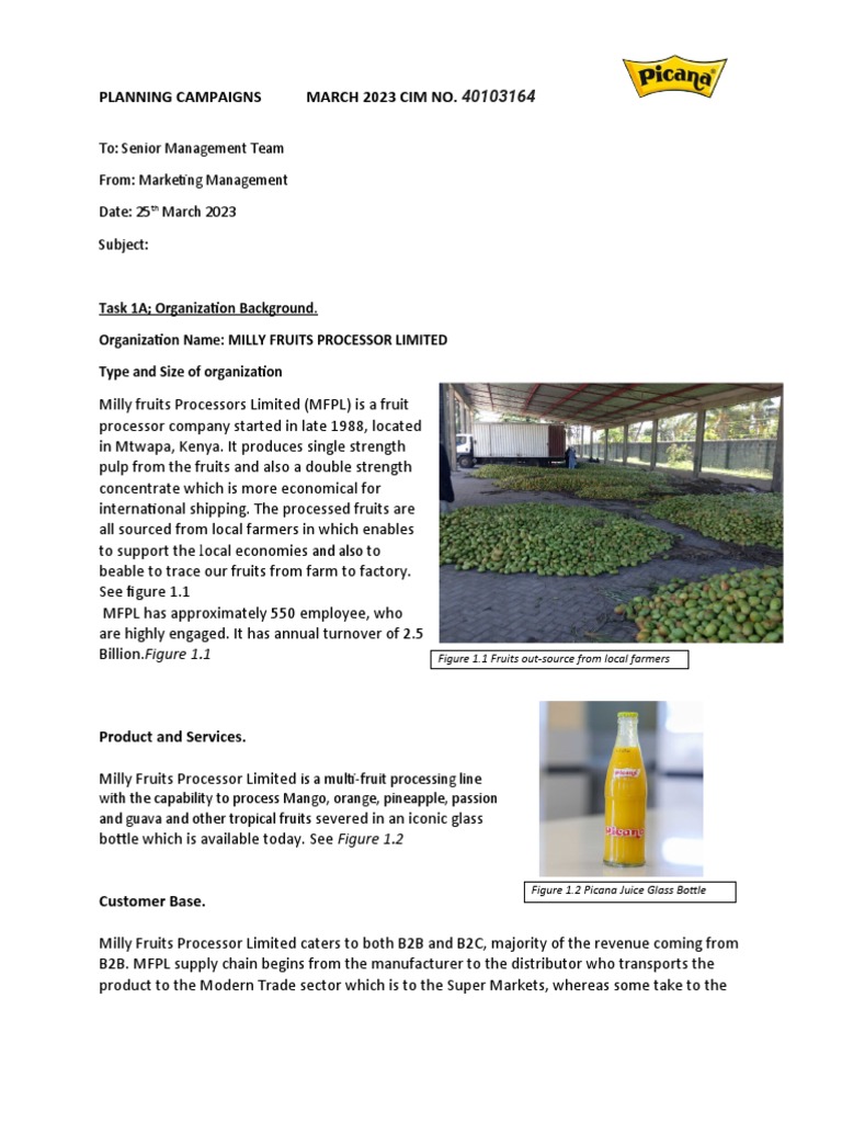 Planning Campaign Assignment | PDF | Brand | Marketing