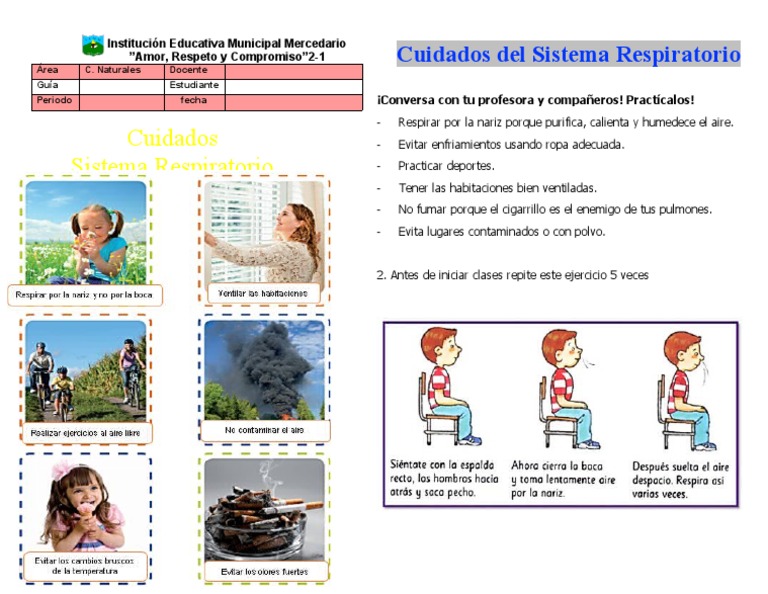 Cuidados Sistema Respiratorio | PDF