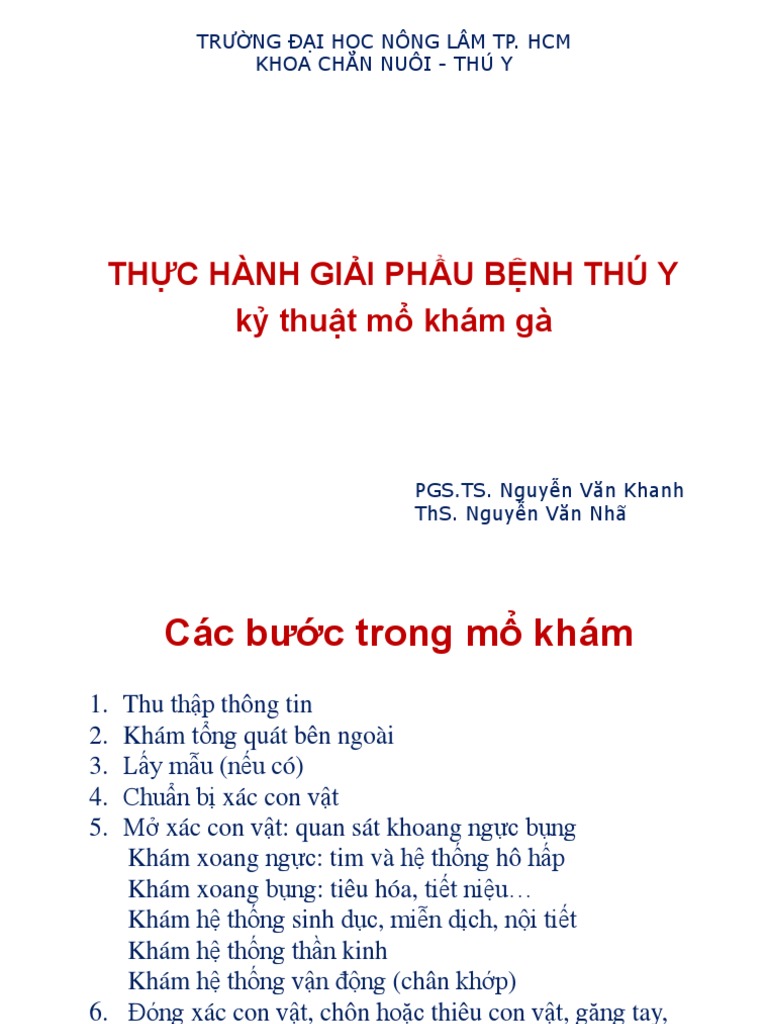 B2 TP Ky Thuat Mo Kham Ga | PDF