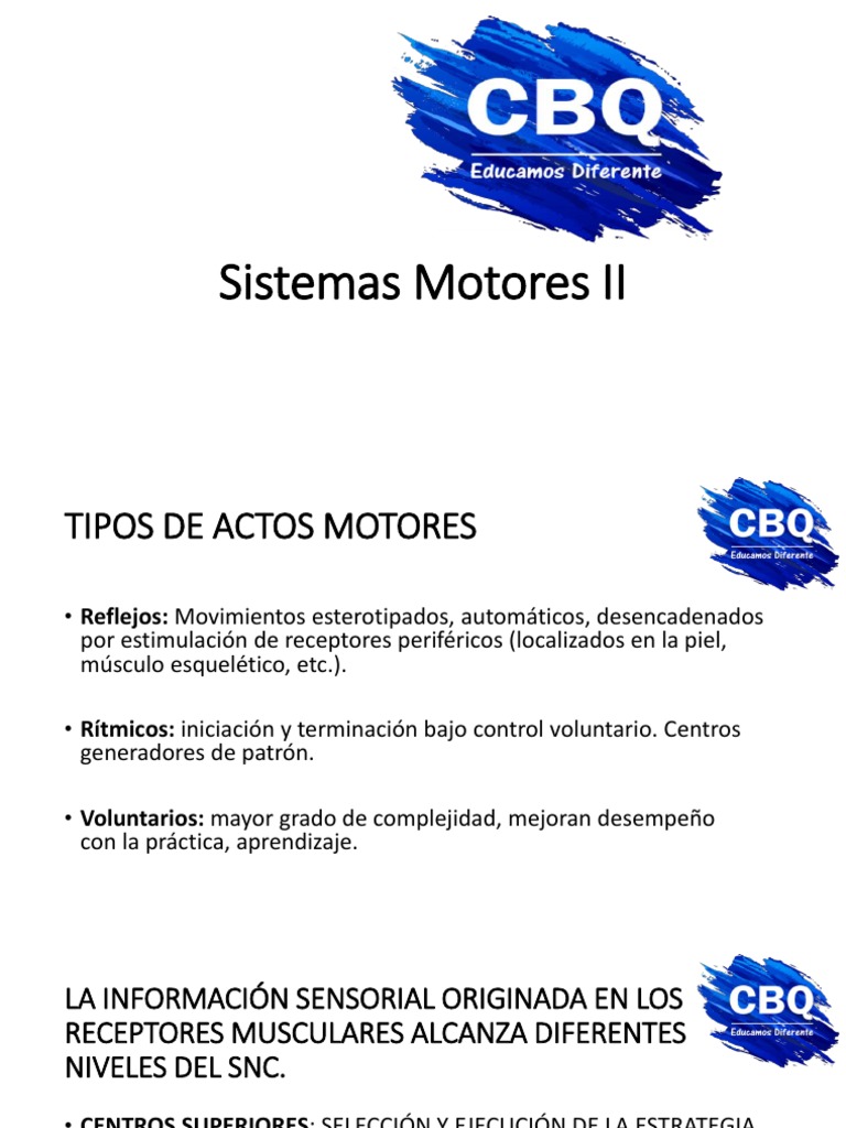 sistemas-motores-ii | PDF | Cerebelo | Ganglios basales