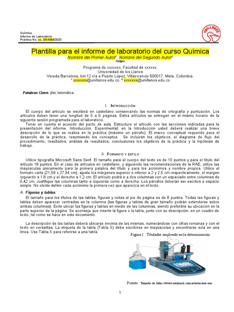 Formato para Entrega de Informe 2023 | PDF