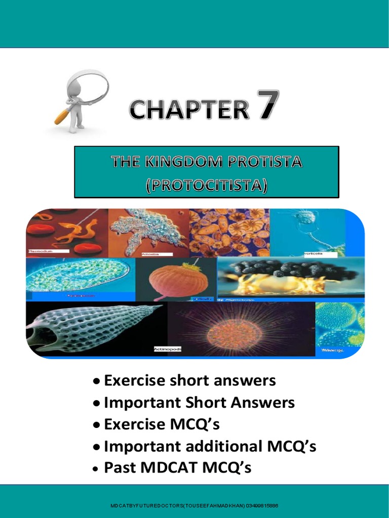 Chapter 7 Biology 1st Year - Prof. Ijaz Ahmed Khan Abbasi (Lecturer ...