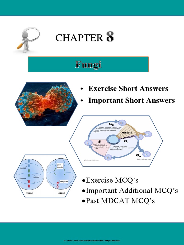 Chapter 8 Biology 1st Year - Prof. Ijaz Ahmed Khan Abbasi (Lecturer ...