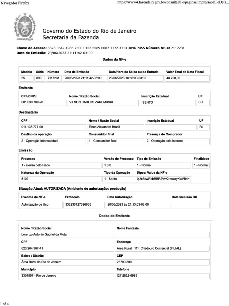 MODELO DE Consulta - Detalhada | PDF | Recibo | Indústrias de serviços