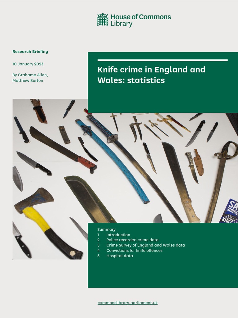 SN04304 | PDF | Crimes | Crime & Violence