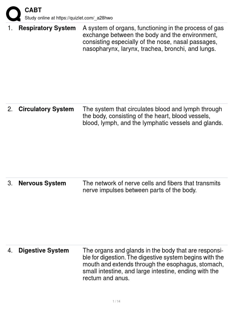 Cabt 1 | PDF | Human Body | Computer Network