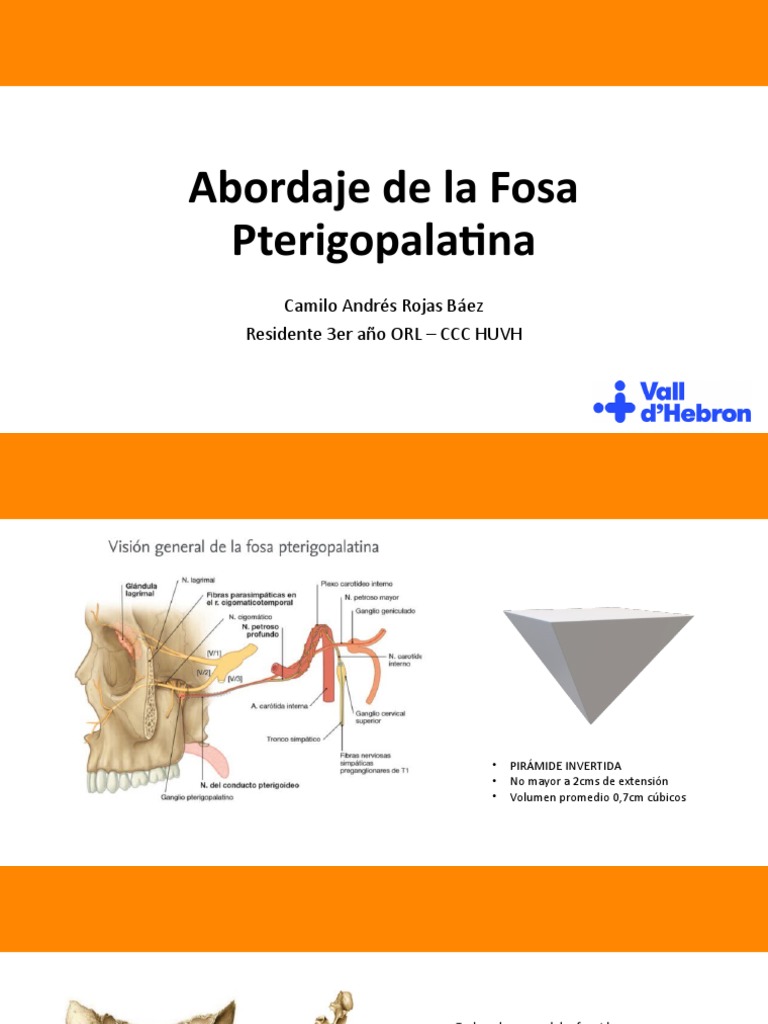 Abordaje de La Fosa Pterigopalatina | Descargar gratis PDF | Cabeza y ...