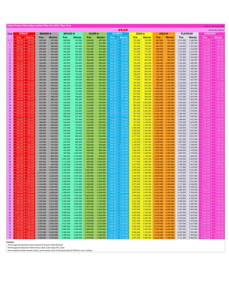 Tabel PSSplus - Pro | PDF