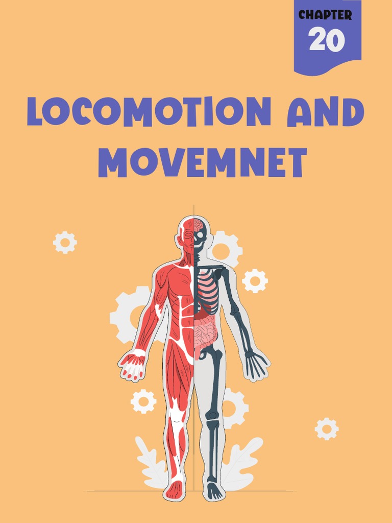 Locomotion | PDF | Skeletal Muscle | Actin