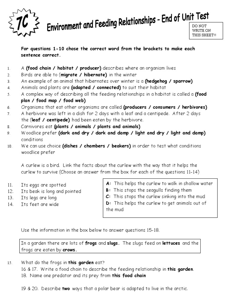 7C Environment Test 2004 | PDF | Predation | Food Web