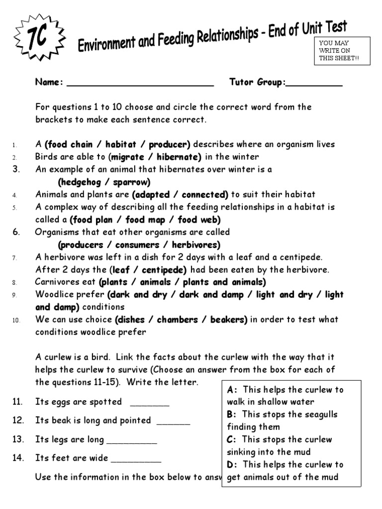 7C Environment Test SEN 2004 | PDF | Predation | Food Web