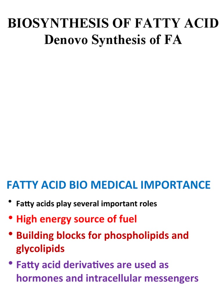 Biosynthesis of Fatty Acid | PDF | Triglyceride | Fatty Acid