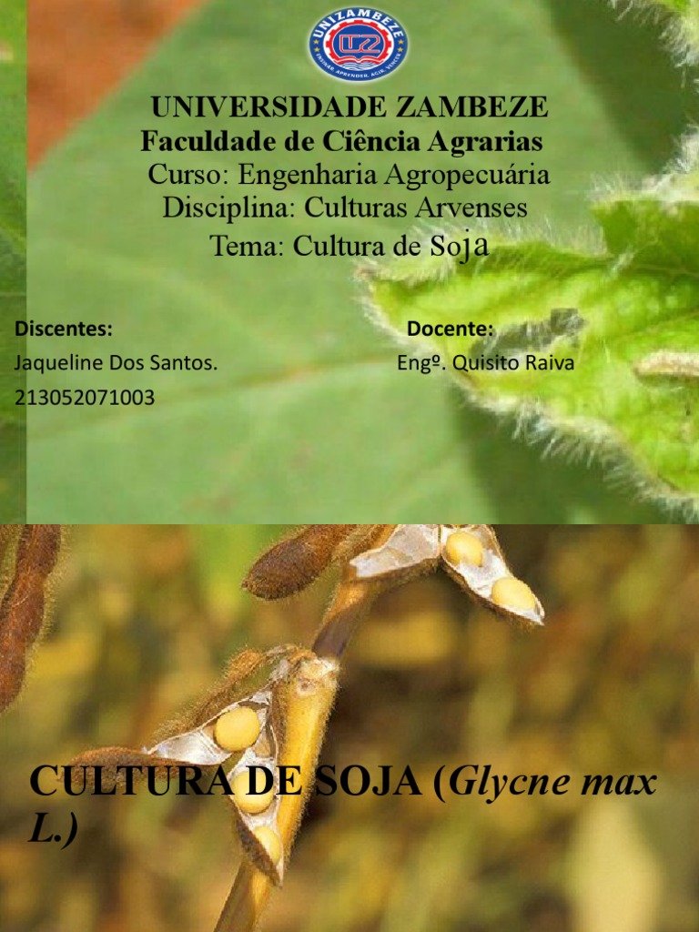 Soja Slide | PDF | Soja | Agricultura