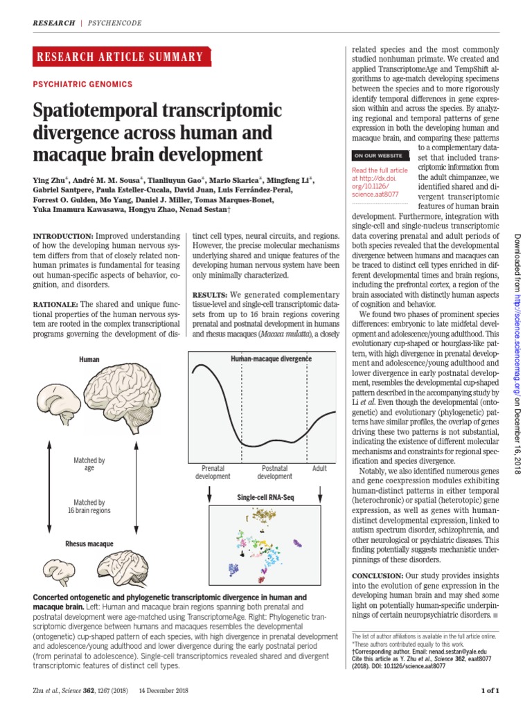 Spatiotemporal Transcriptomic Divergence Among Human and Macaque Brain Development | PDF ...