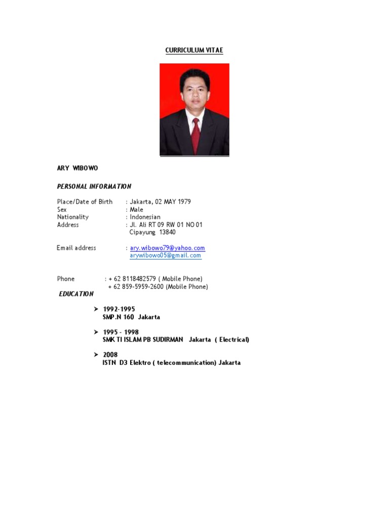 CV Ary | PDF | Mobile Phones | Fiber To The X