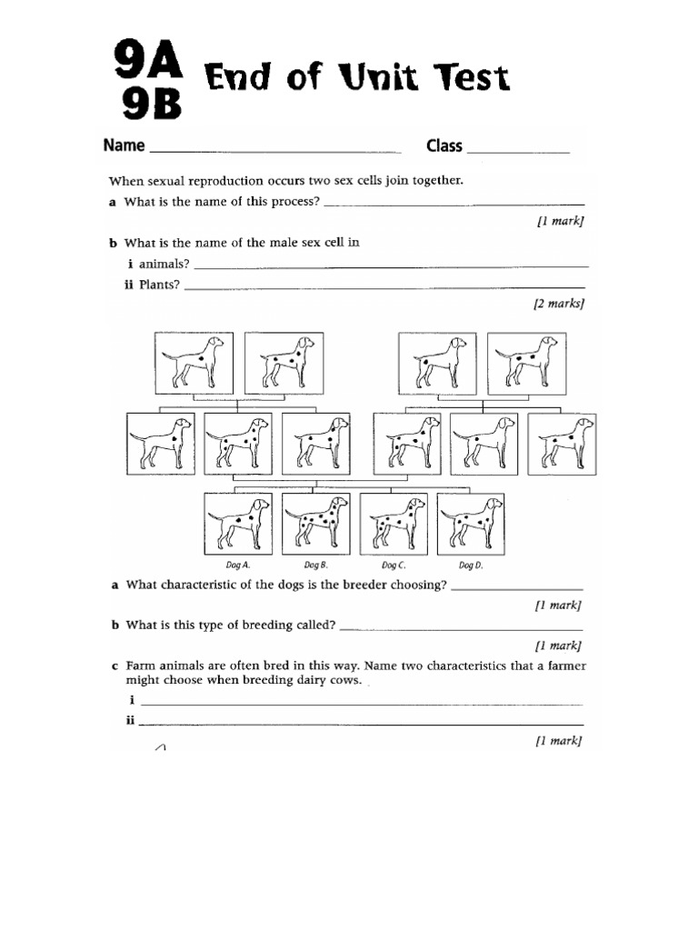 9A and 9B Test | PDF