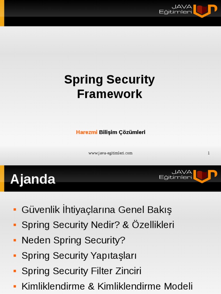 Springsecurityframework Pdf