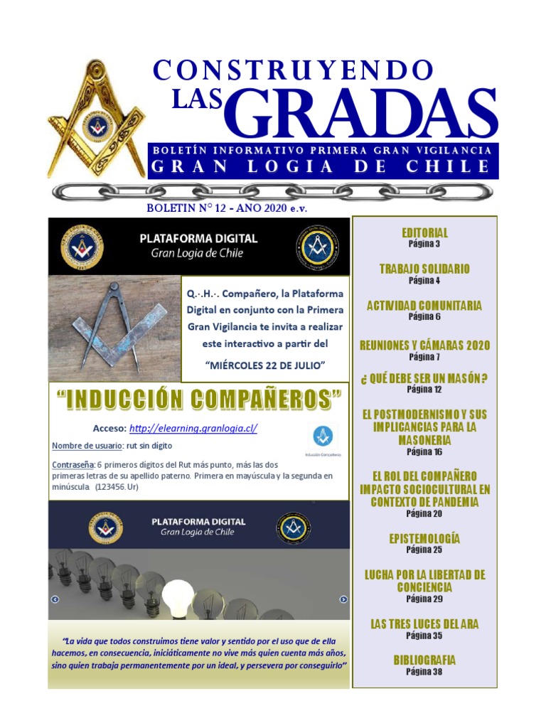 Boletín N°12 - 2020 - PGV | PDF