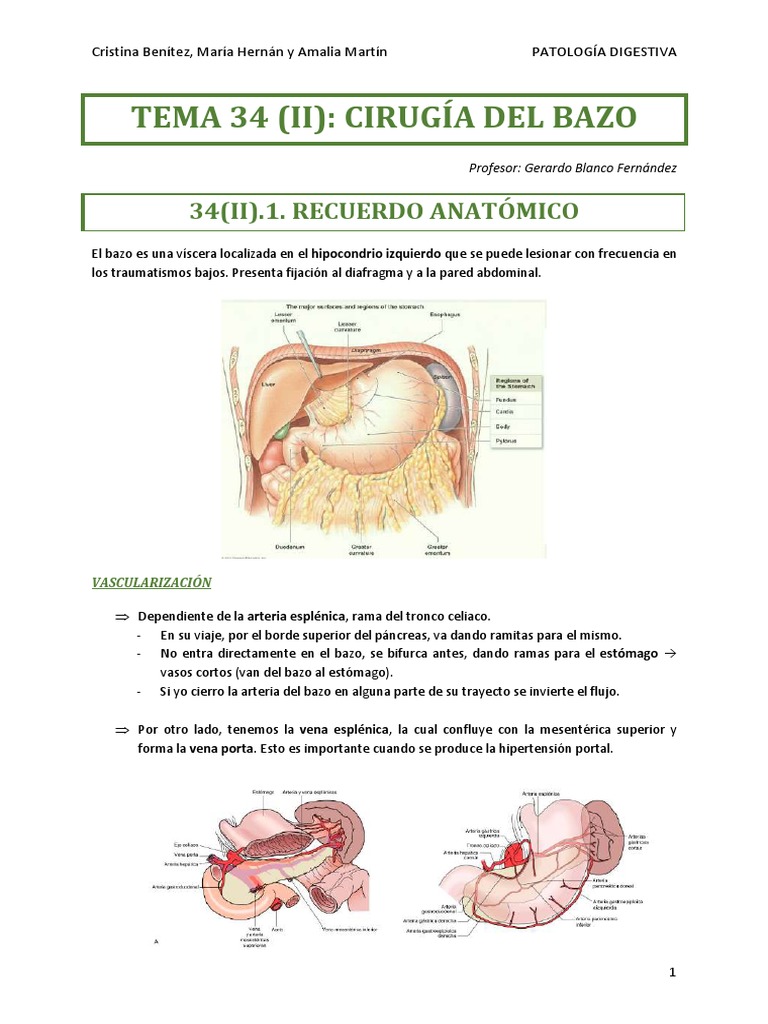 Tema 34.2 | PDF | Bazo | Abdomen