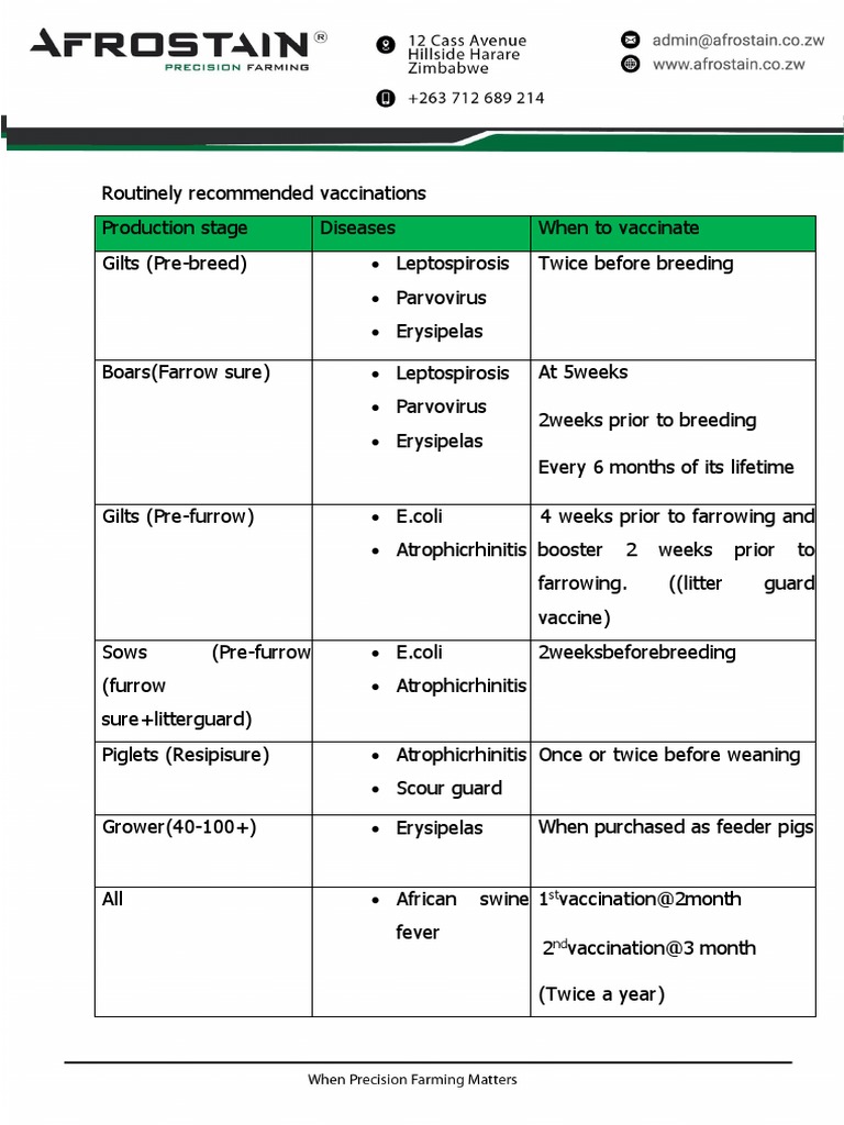 Afrostain Pig Vaccination Chart | PDF
