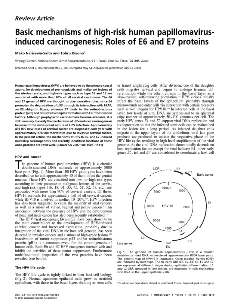 Basic Mechanisms of High-Risk Human Papillomavirus-Induced Carcinogenesis: Roles of E6 and E7 ...