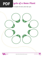 Life Cycle Bean Plant | PDF